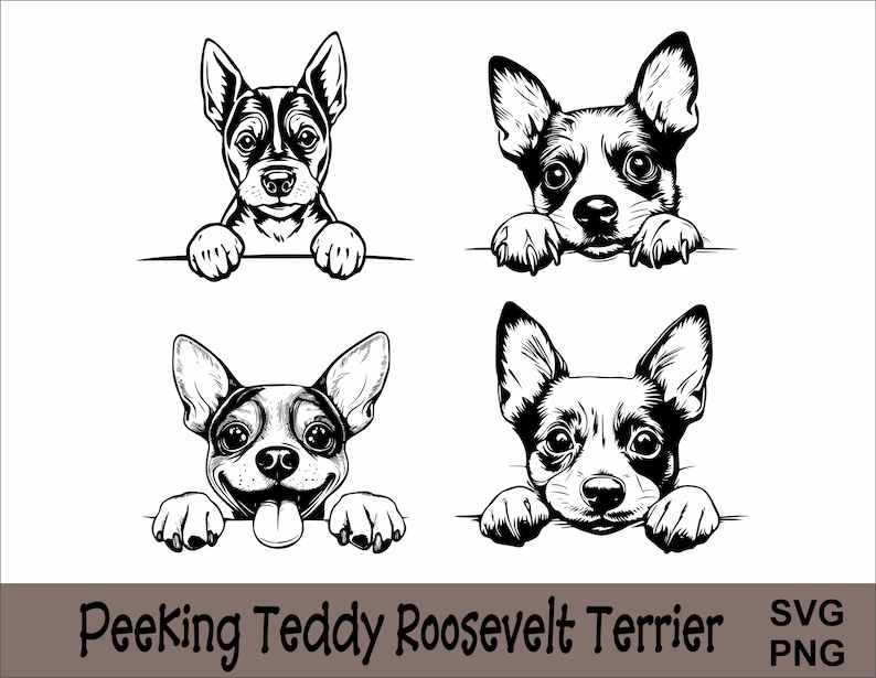 Peeking Teddy Roosevelt Terrier SVG and PNG Bundle Peeking Paws, Dog ...