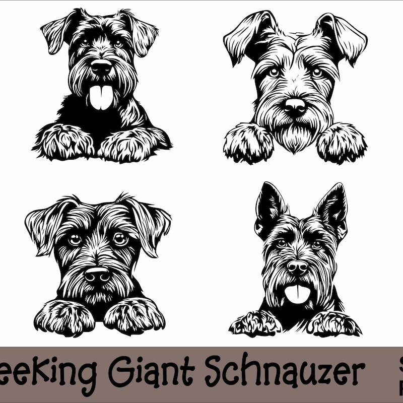 Schnauzer Logo Digital - Etsy