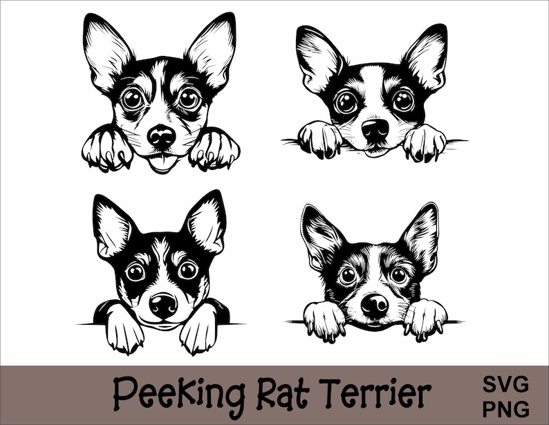 Peeking Rat Terrier SVG and PNG Bundle Peeking Paws, Dog Breed K-9 ...