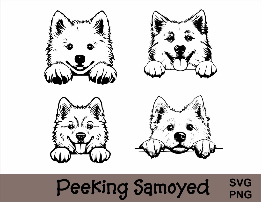 Peeking Samoyed SVG and PNG Bundle Peeking Paws, Dog Breed K-9 Animal ...