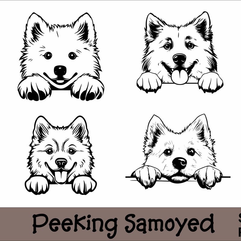 Samoyed - Etsy