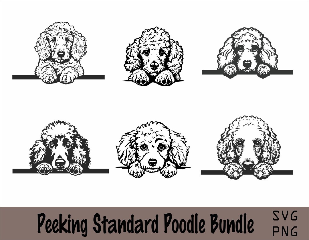 Peeking Standard Poodle SVG and PNG Bundle - Dog Breed Logo K-9 Pet ...