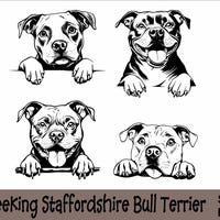 Staffordshire Bull Terrier Head PNG, SVG, DXF Files. Vector Graphic ...