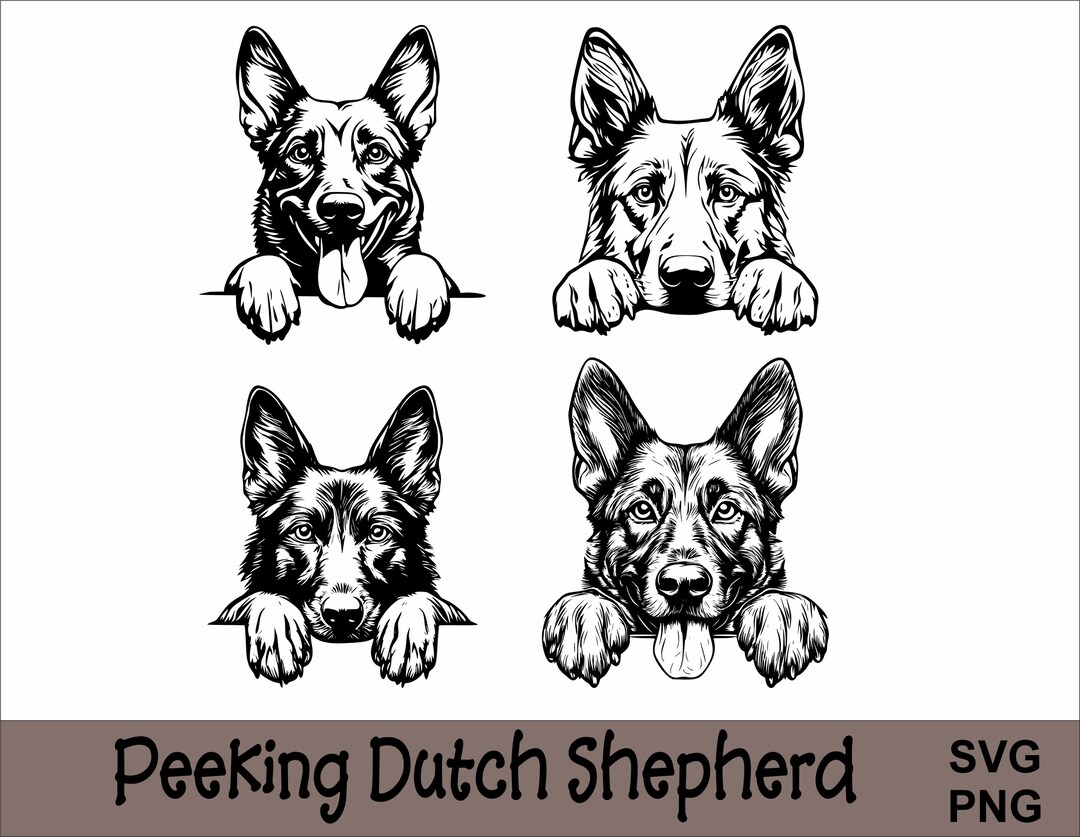 Peeking Dutch Shepherd SVG and PNG Bundle Peeking Paws, Dog Breed K-9 ...