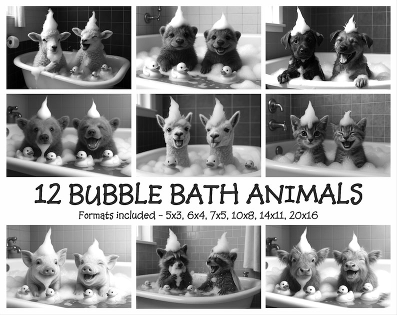 Bubble Bath Animal Portraits – Set of 12 Adorably Framed Critters ...