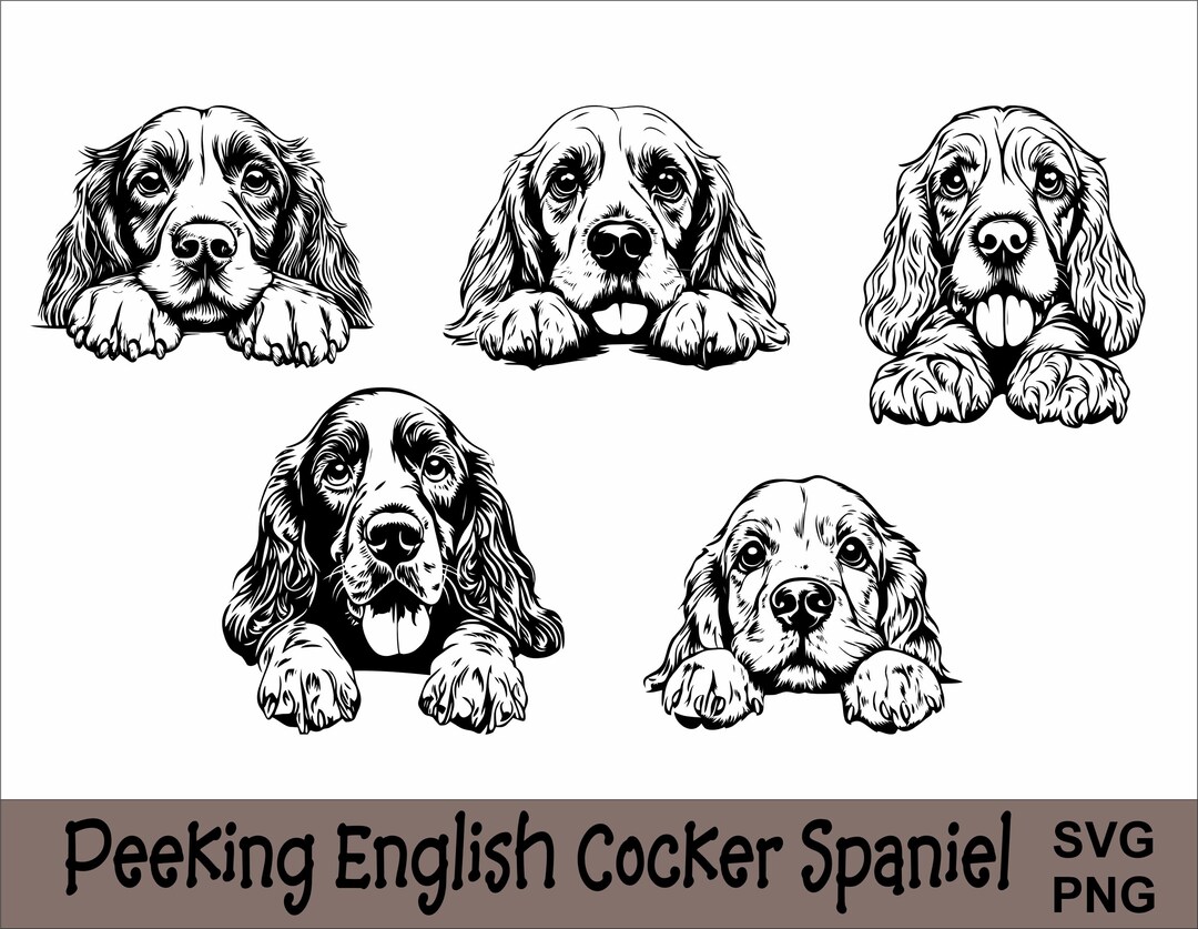 Peeking English Cocker Spaniel SVG and PNG Bundle Peeking Paws, Dog ...