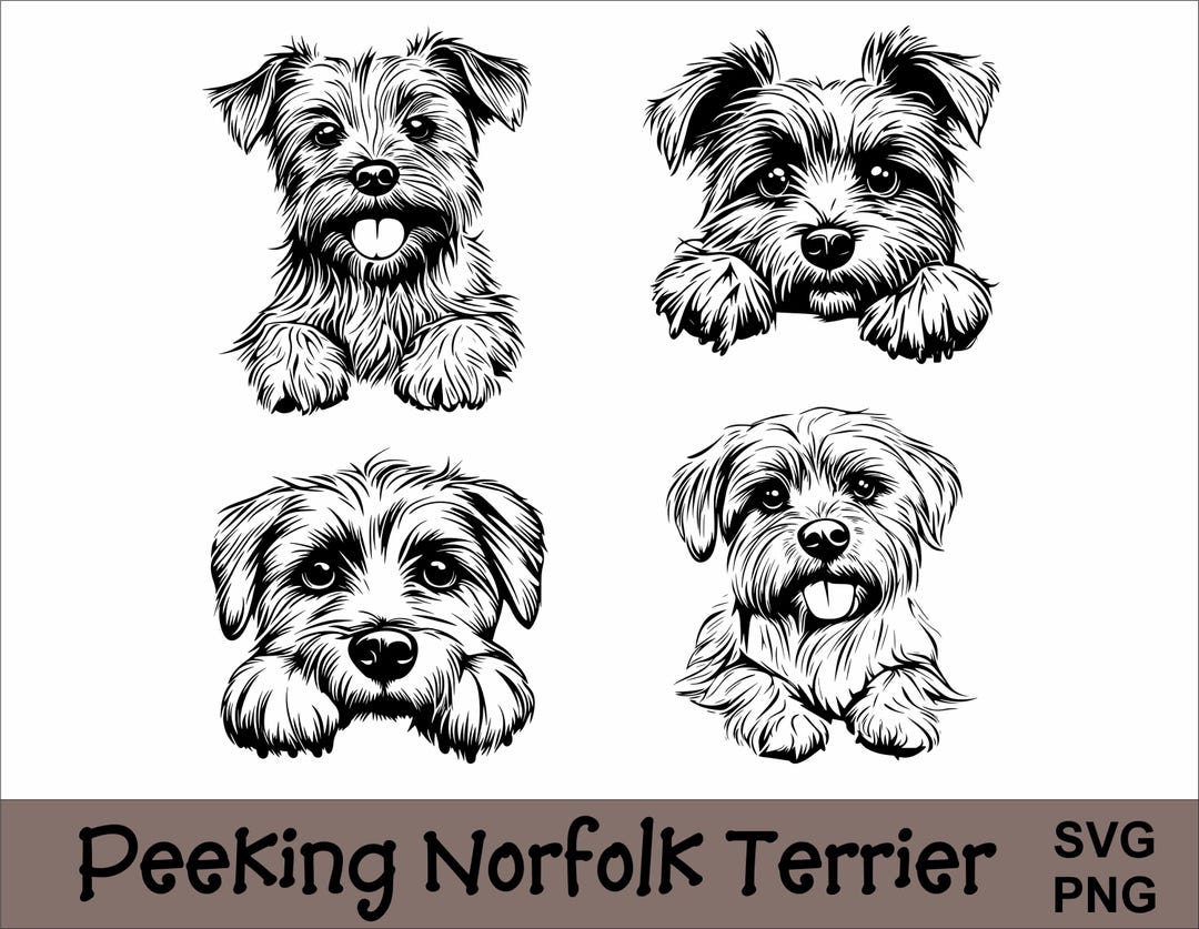 Peeking Norfolk Terrier SVG and PNG Bundle Peeking Paws, Dog Breed K-9 ...