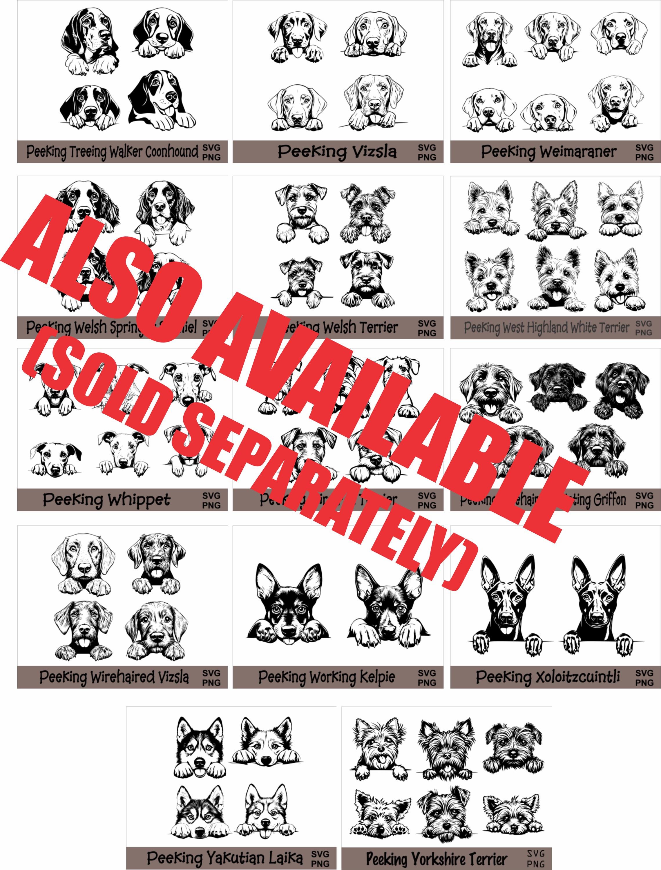 Peeking English Bulldog SVG and PNG Bundle | Peeking Paws, Dog Breed, K ...