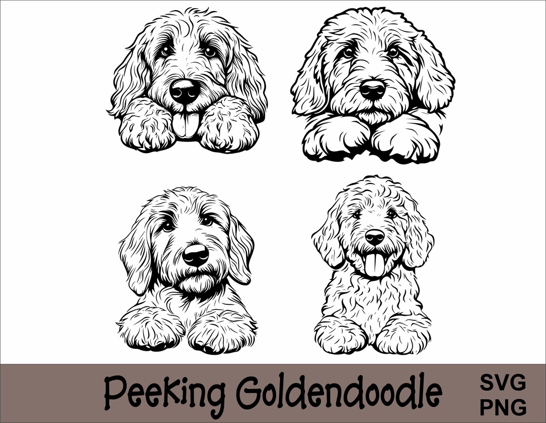 Peeking Goldendoodle SVG and PNG Bundle Peeking Paws, Dog Breed K-9 ...