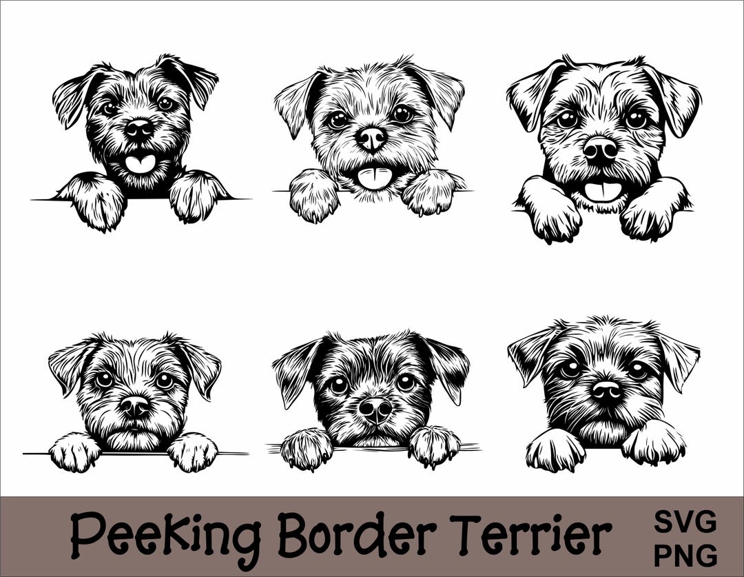 Peeking Border Terrier SVG and PNG Bundle Peeking Paws, Dog Breed K-9 ...