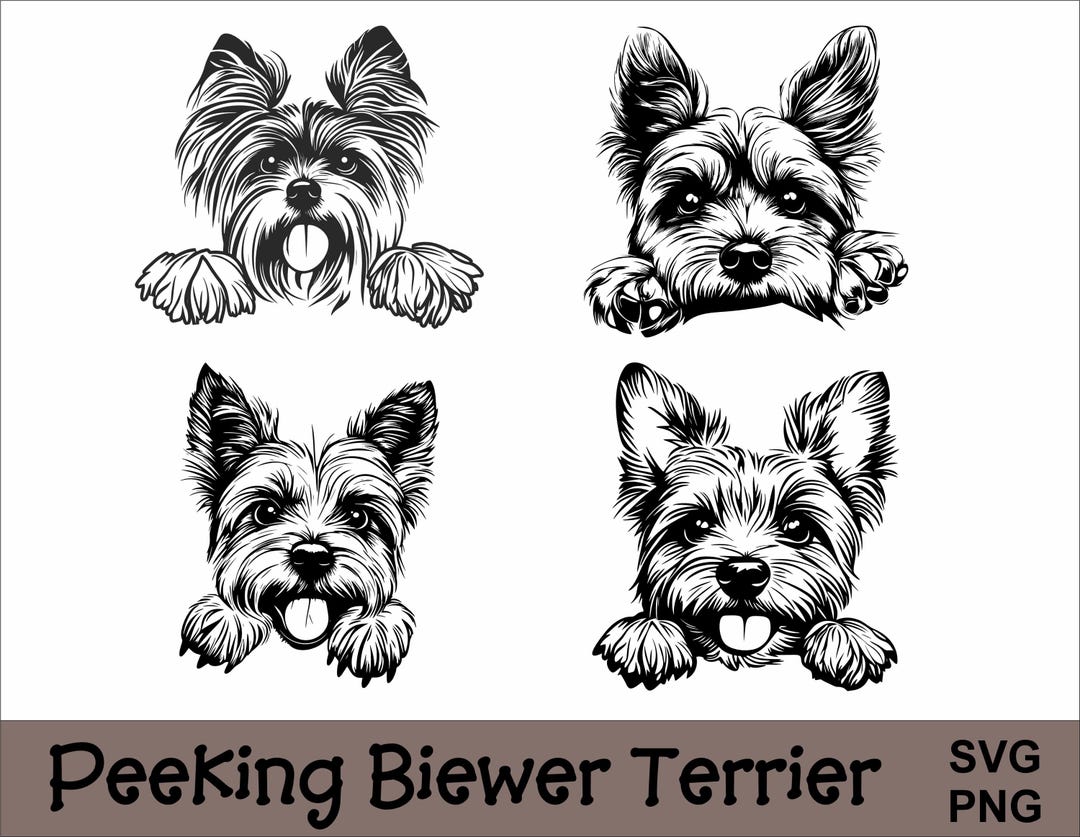 Peeking Biewer Terrier SVG and PNG Bundle Peeking Paws, Dog Breed K-9 ...