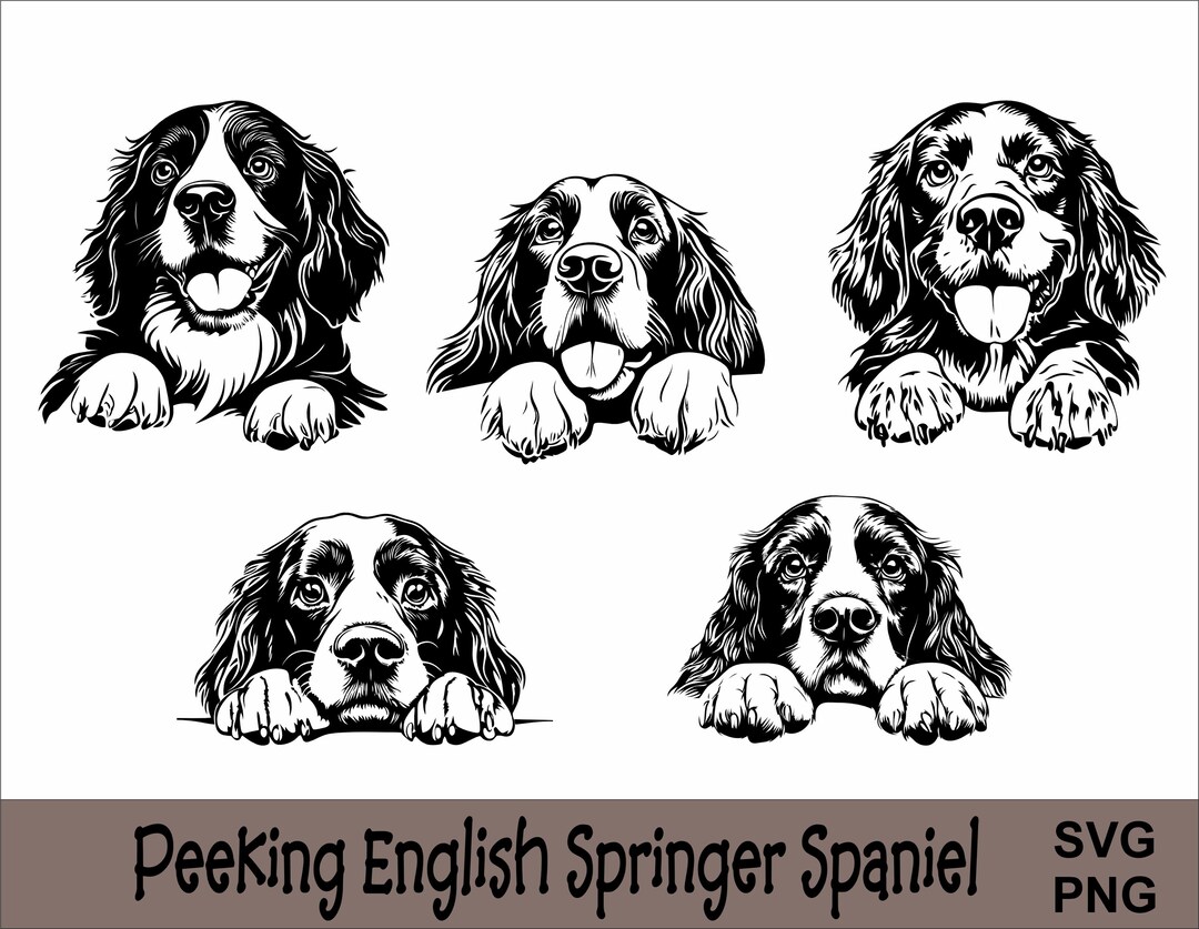 Peeking English Springer Spaniel SVG and PNG Bundle Peeking Paws, Dog ...