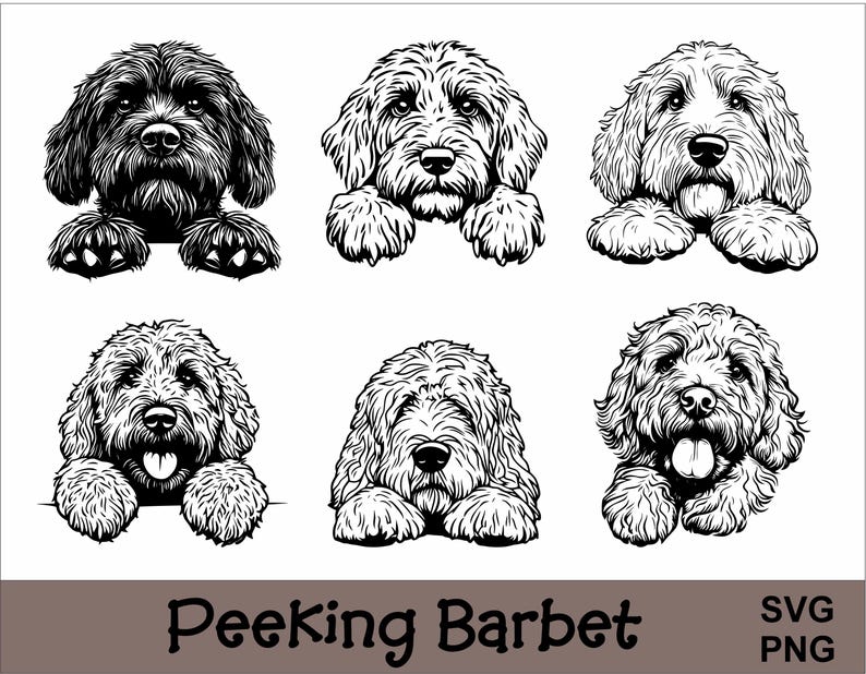 Peeking Barbet SVG and PNG Bundle Peeking Paws, Dog Breed K-9 Animal ...