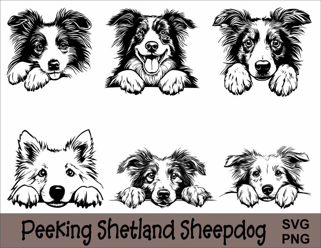 Peeking Shetland Sheepdog SVG and PNG Bundle Peeking Paws, Dog Breed K ...