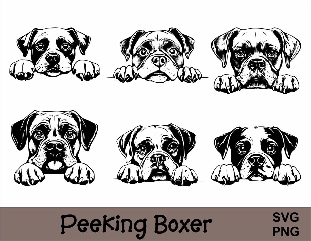 Peeking Boxer SVG and PNG Bundle | Peeking Paws, Dog Breed, K-9, Animal ...