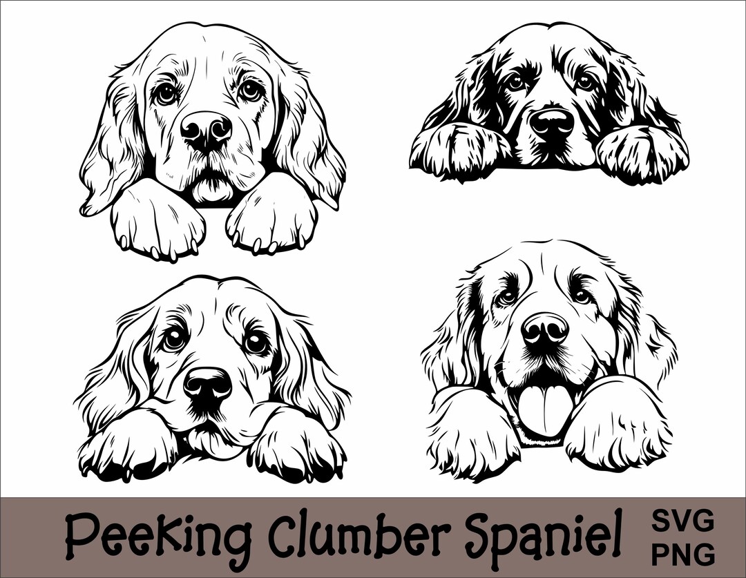 Peeking Clumber Spaniel SVG and PNG Bundle Peeking Paws, Dog Breed K-9 ...