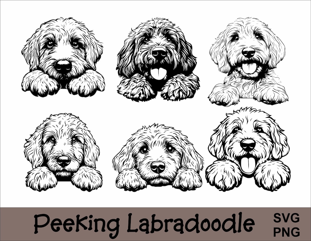 Peeking Labradoodle SVG and PNG Bundle Peeking Paws, Dog Breed K-9 ...