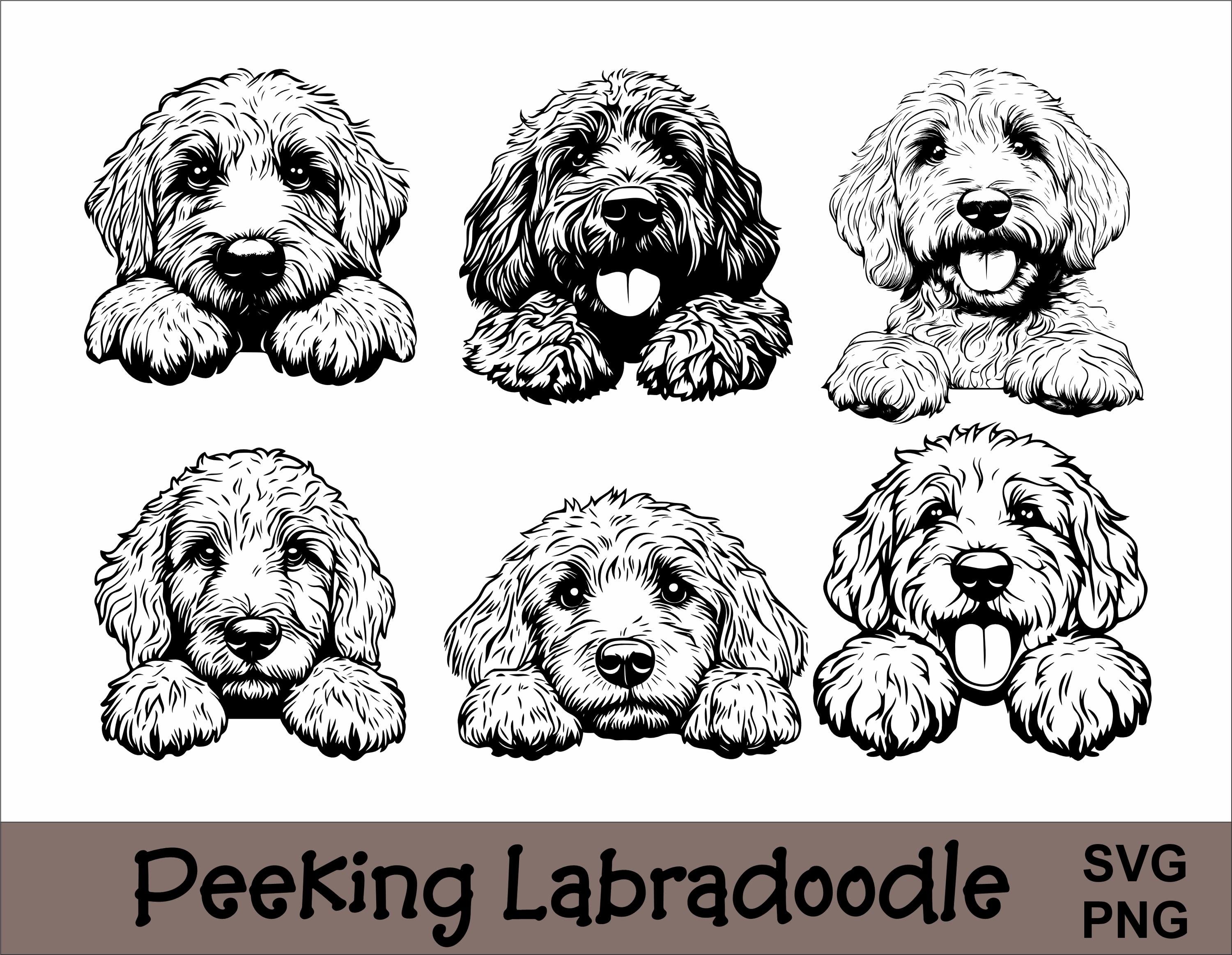Peeking Labradoodle SVG and PNG Bundle Peeking Paws, Dog Breed K-9 ...