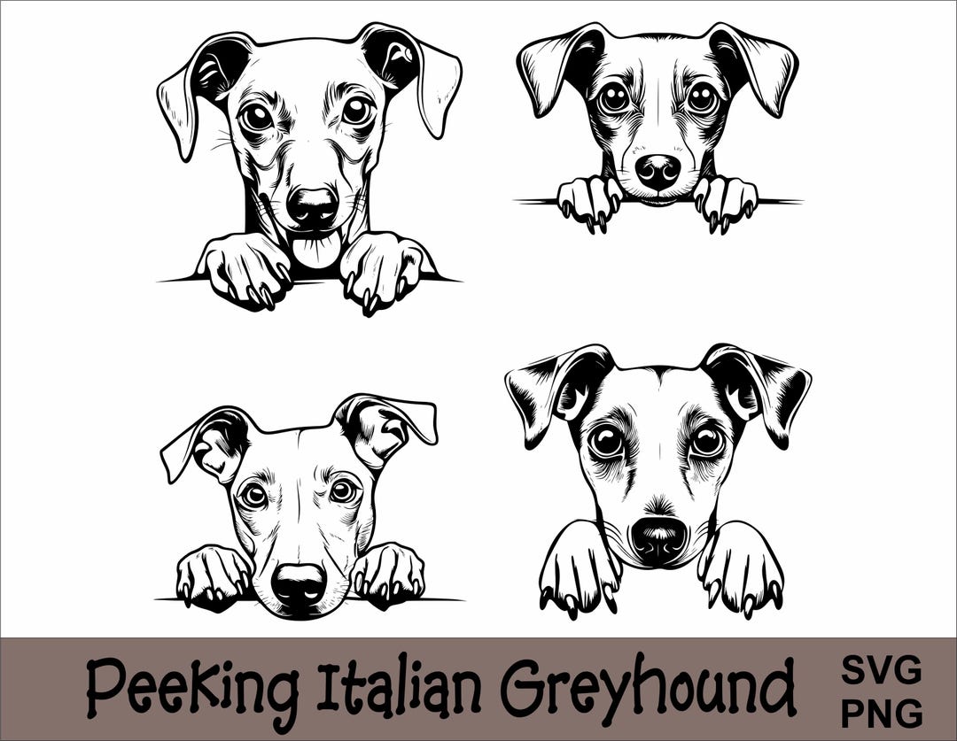 Peeking Italian Greyhound SVG and PNG Bundle Peeking Paws, Dog Breed K ...