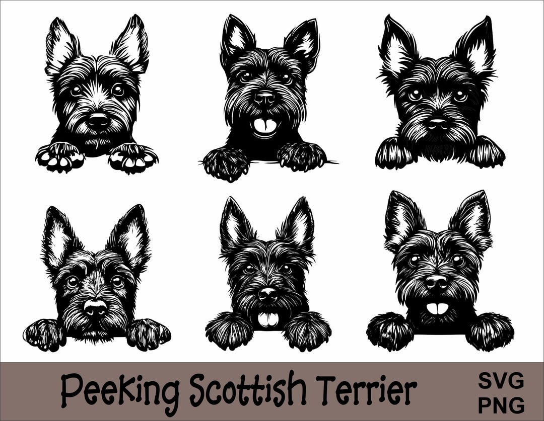 Peeking Scottish Terrier SVG and PNG Bundle Peeking Paws Dog Breed K-9 ...