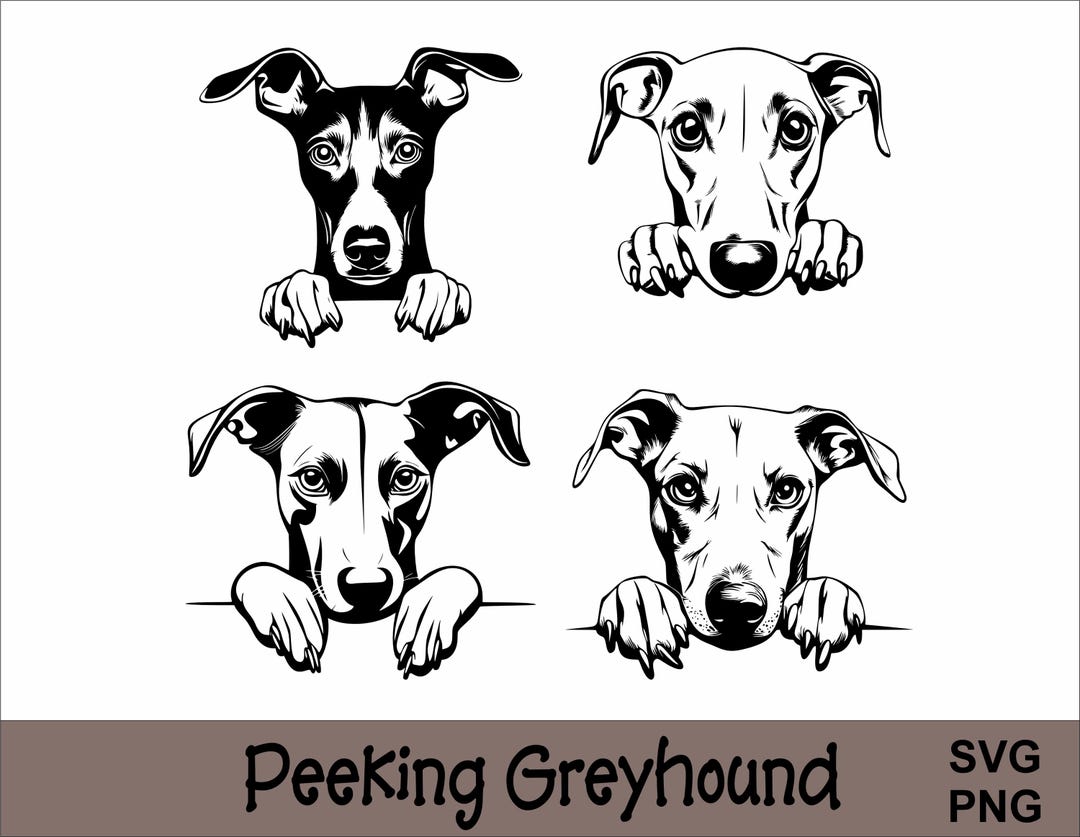 Peeking Greyhound SVG and PNG Bundle Peeking Paws, Dog Breed K-9 Animal ...