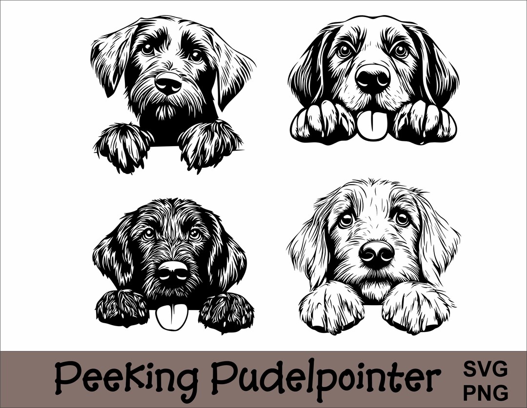 Peeking Pudelpointer SVG and PNG Bundle Peeking Paws, Dog Breed K-9 Animal Pet Puppy Canine ...