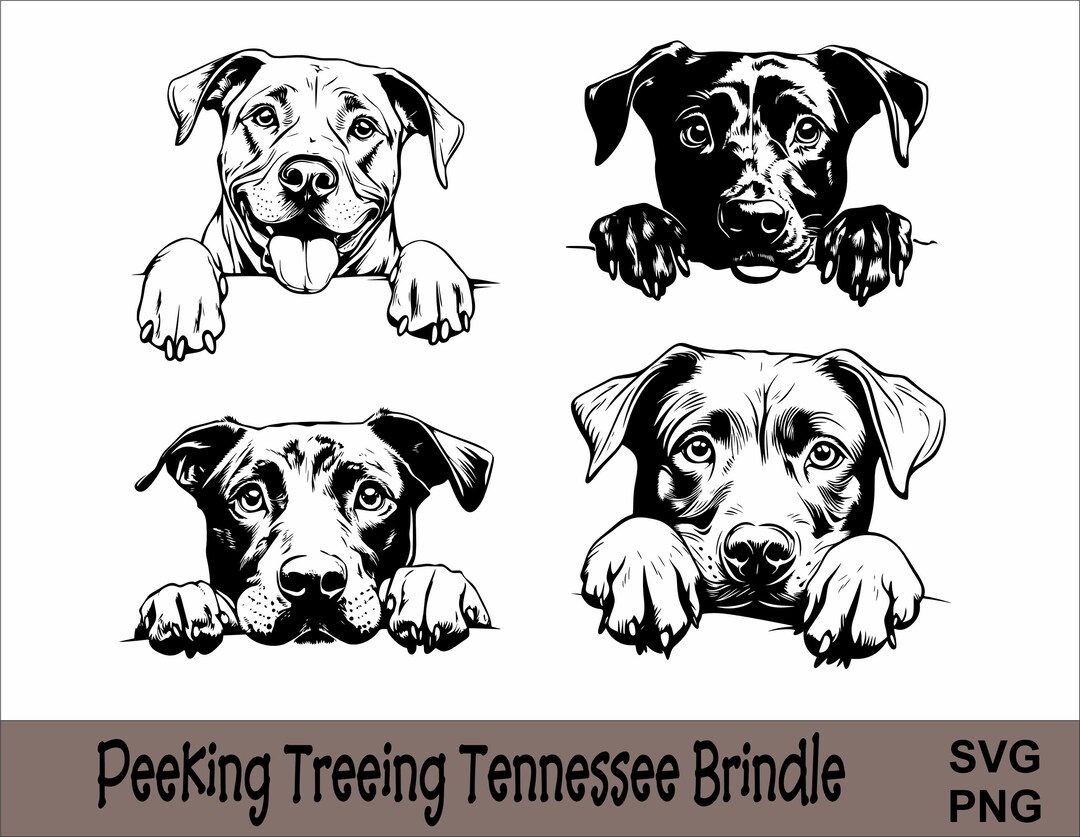 Peeking Treeing Tennessee Brindle SVG and PNG Bundle Peeking Paws, Dog ...