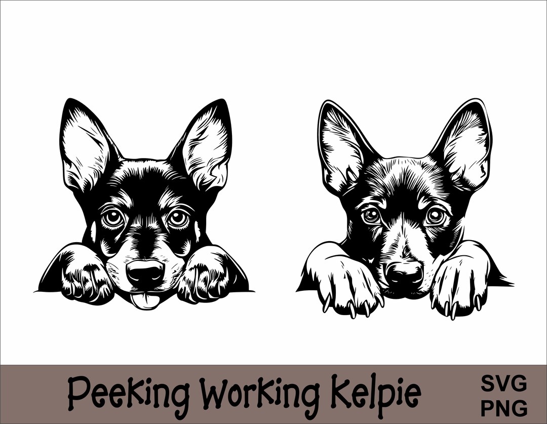Peeking Working Kelpie SVG and PNG Bundle Peeking Paws, Dog Breed K-9 ...