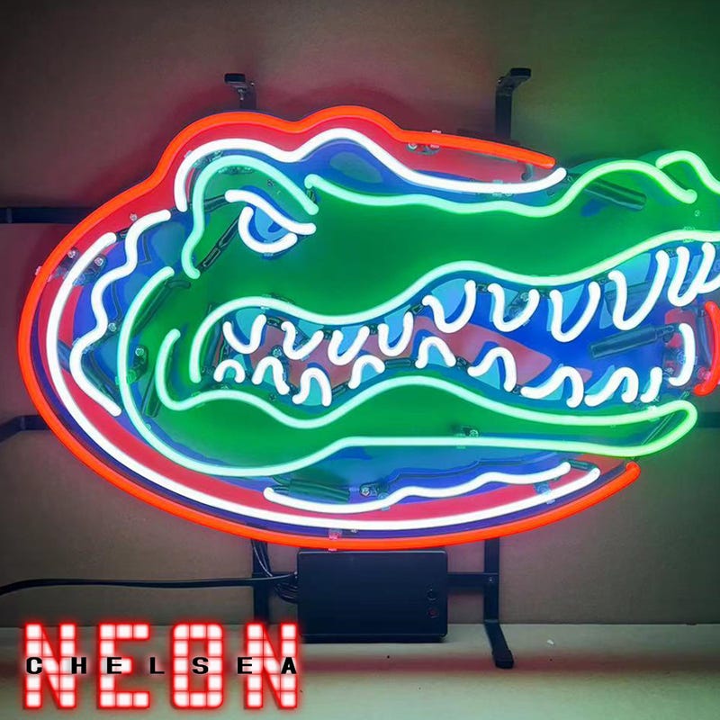 Alligator School Pride - Etsy