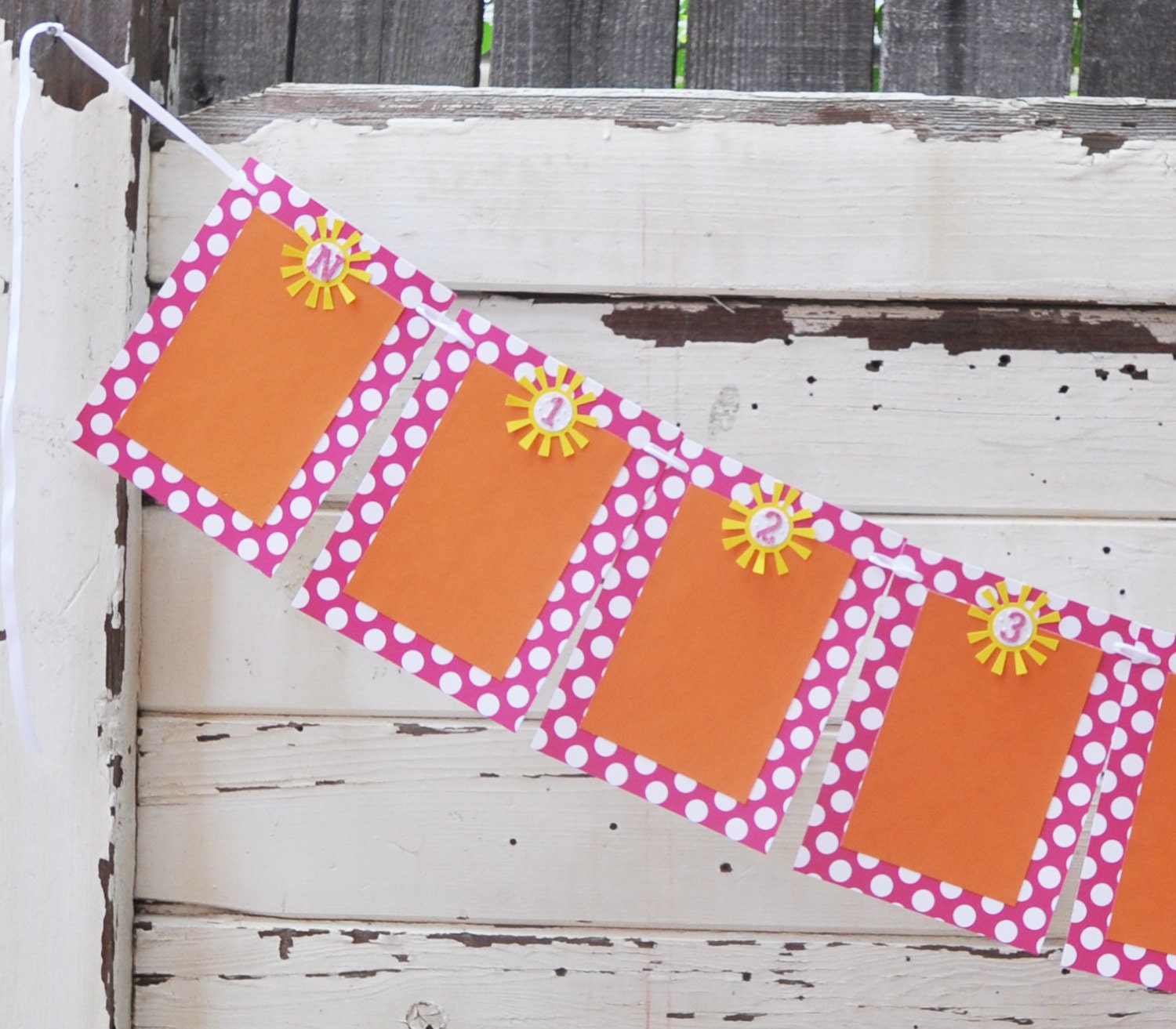 Girl Sun 12 Month Photo Banner, 1st First Year Picture Frame Memory ...