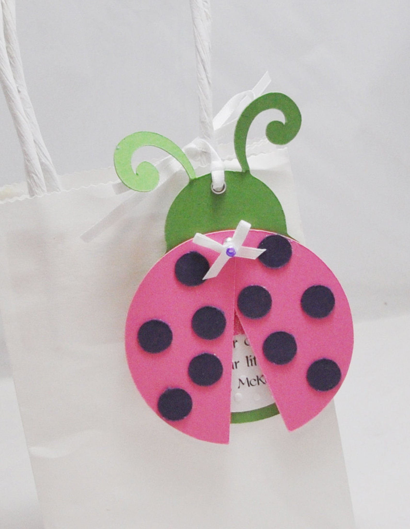 Personalized Ladybug Thank You Favor Bag Gift Tags Girl 1st | Etsy