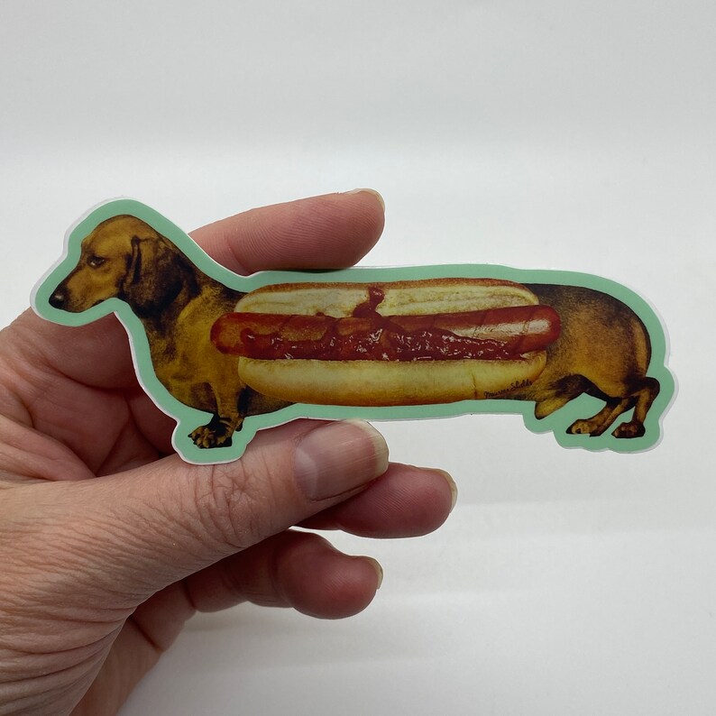 Wiener Dog/hot Dog Vinyl Sticker-dachshund Breed W/hot Dog - Etsy