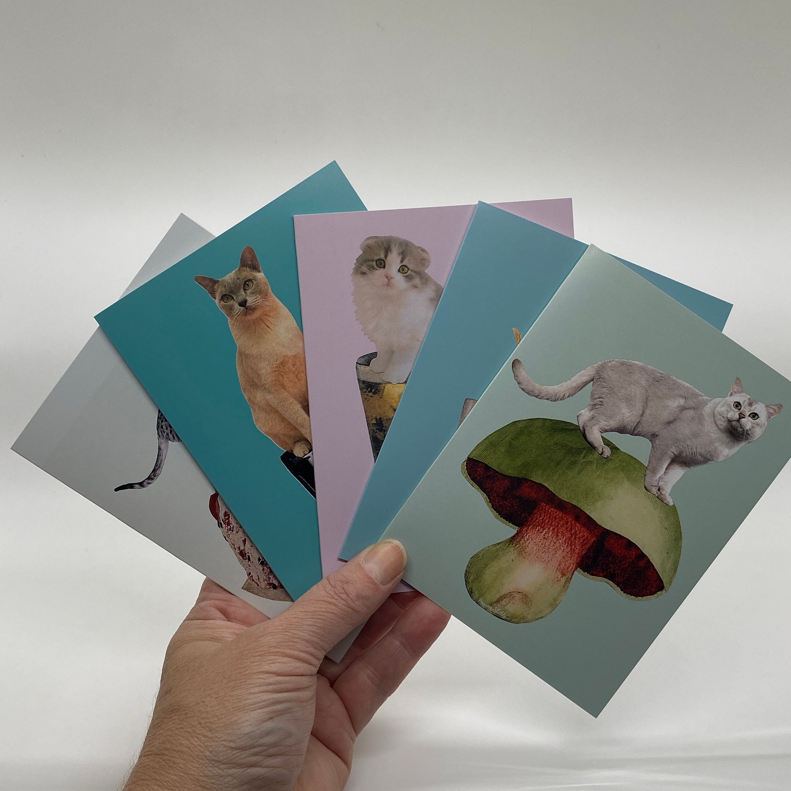 Set of 3 Greeting Cards-all Occasion-birthday-bridal Shower-mother's ...