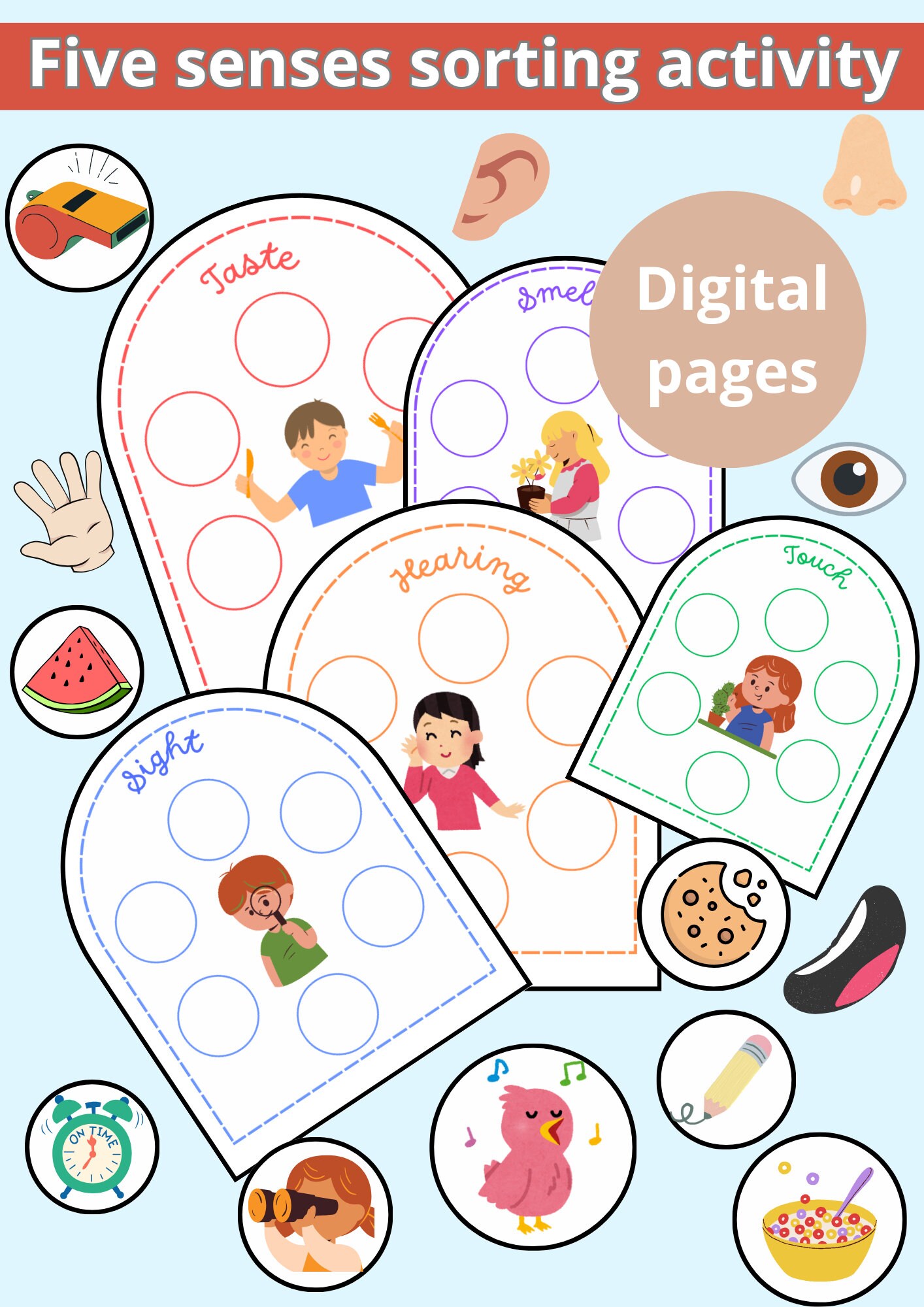 Actividad De Clasificación De Cinco Sentidos, Clasificación De Los 5 ...
