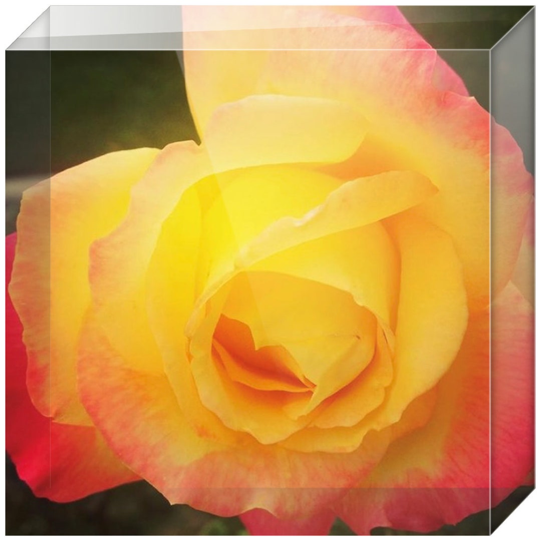 Yellow Kiss Acrylic Blocks - Etsy