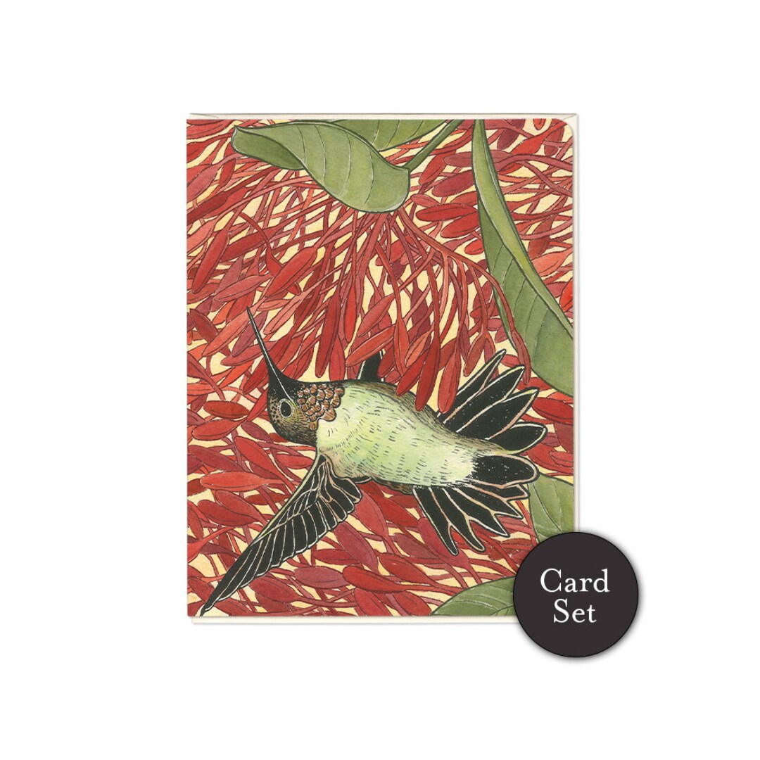 Hummingbird Healer Card Set of 6 - Etsy