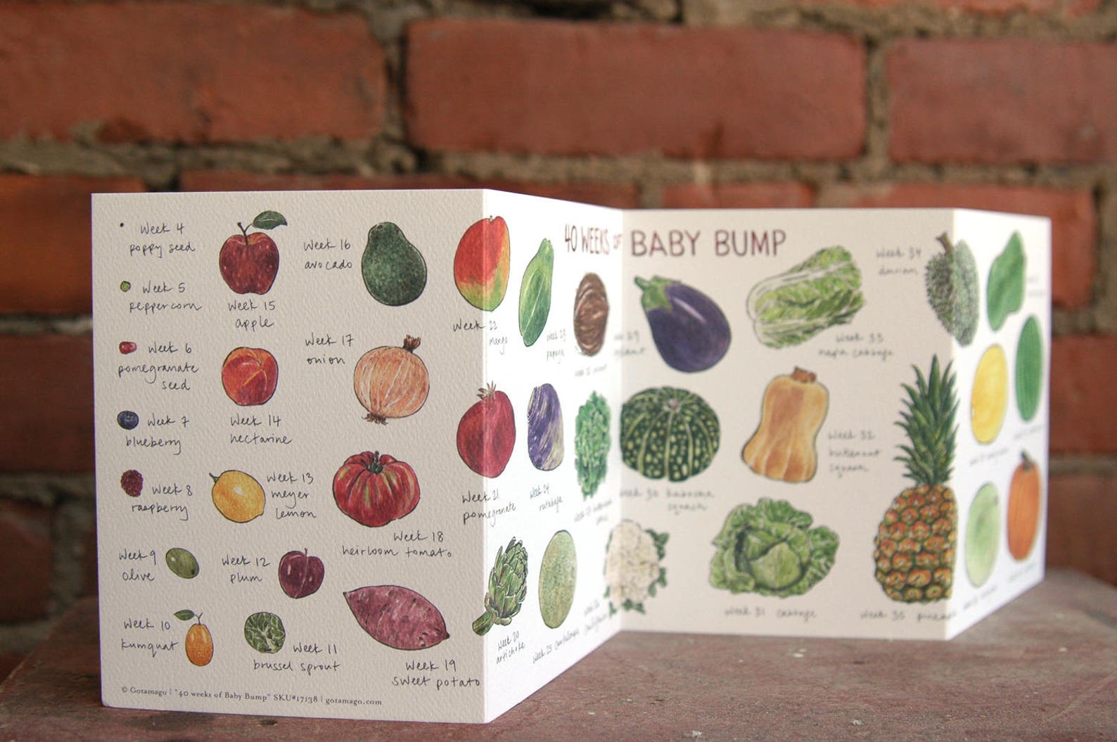 Baby Bump Accordion Card: Fruit & Vegetable Pregnancy Chart - Etsy