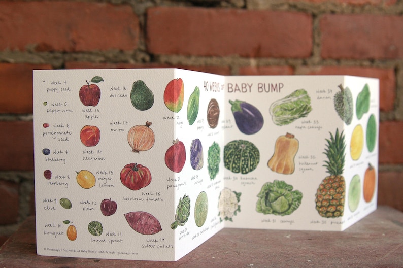 Baby Bump Accordion Card: Fruit & Vegetable Pregnancy Chart - Etsy
