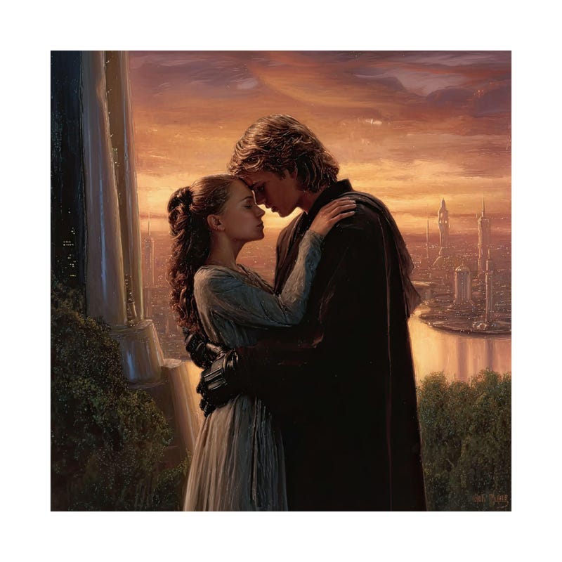 Anakin Padme Costume - Etsy