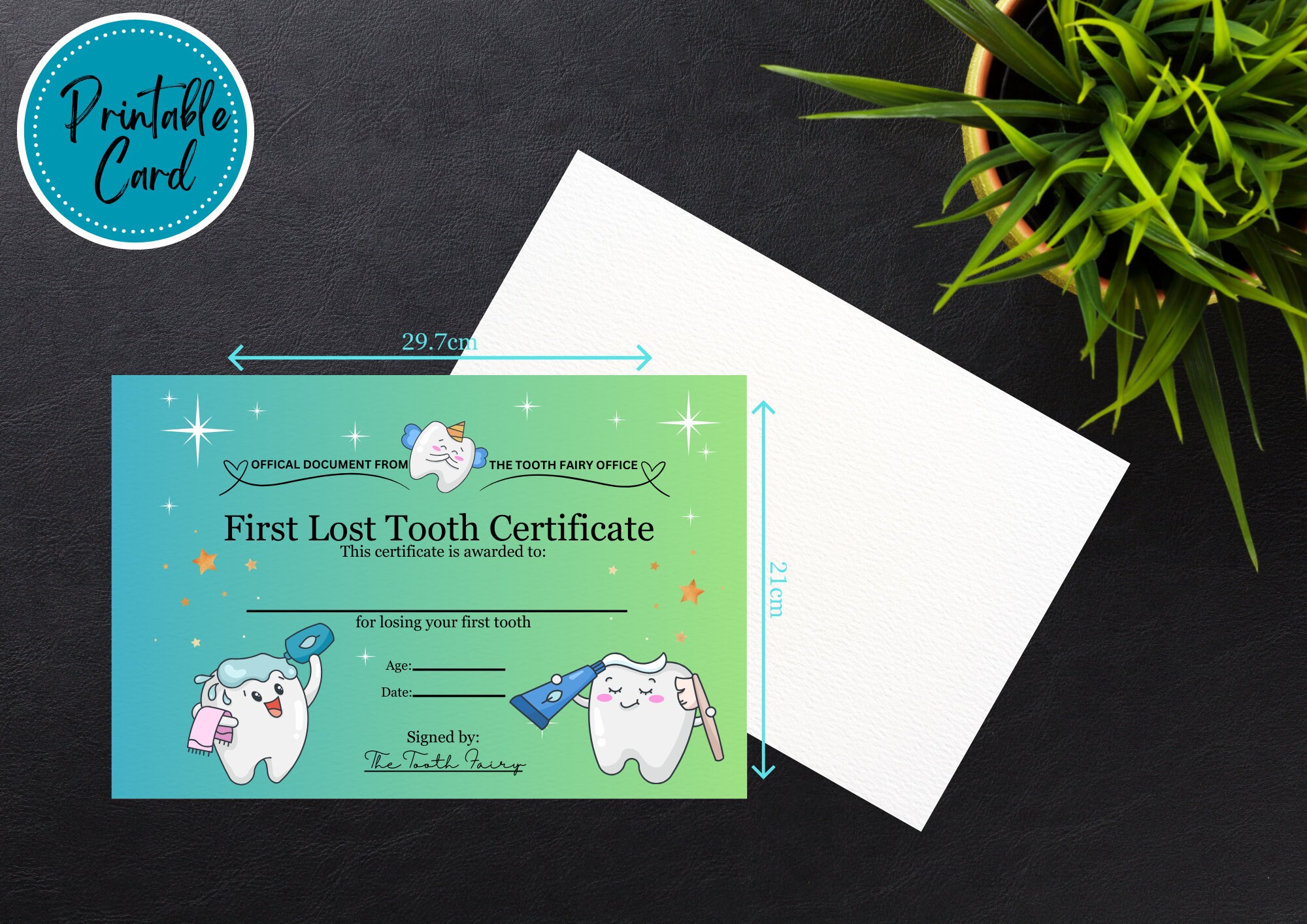 First Lost Tooth Certificate, Tooth Fairy Award, First Lost Tooth Award ...