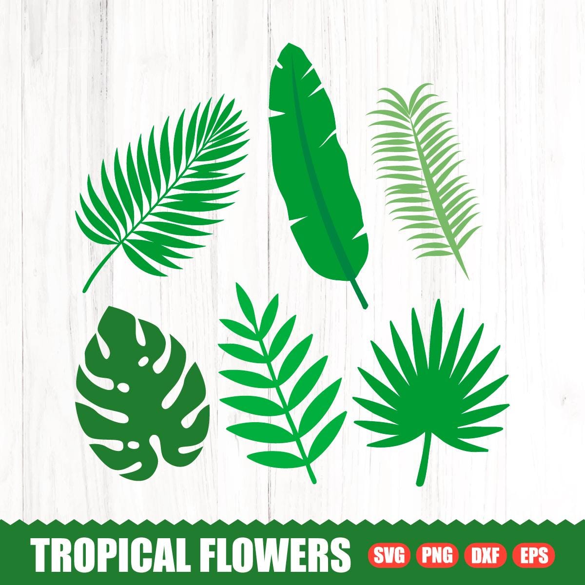Tropical Flower & Leaf SVG Bundle, Hawaiian Clipart (digital Download ...