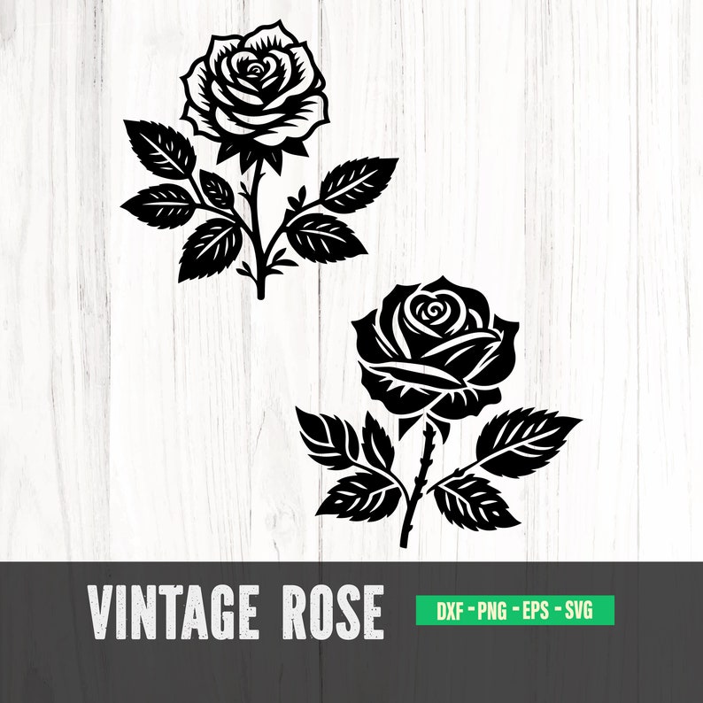 Vintage Rose SVG Bundle, Floral Clipart (digital Download) - Etsy