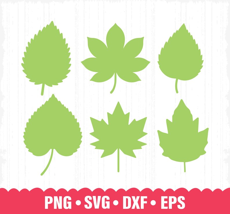 Leaf Svg Bundle, Leaves Svg, Leaves Cut Files, Branch Svg, Leaves ...