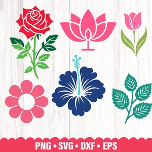 Flower SVG Bundle, Flower Png Bundle, Flower Shapes Svg, Flower Bundle ...