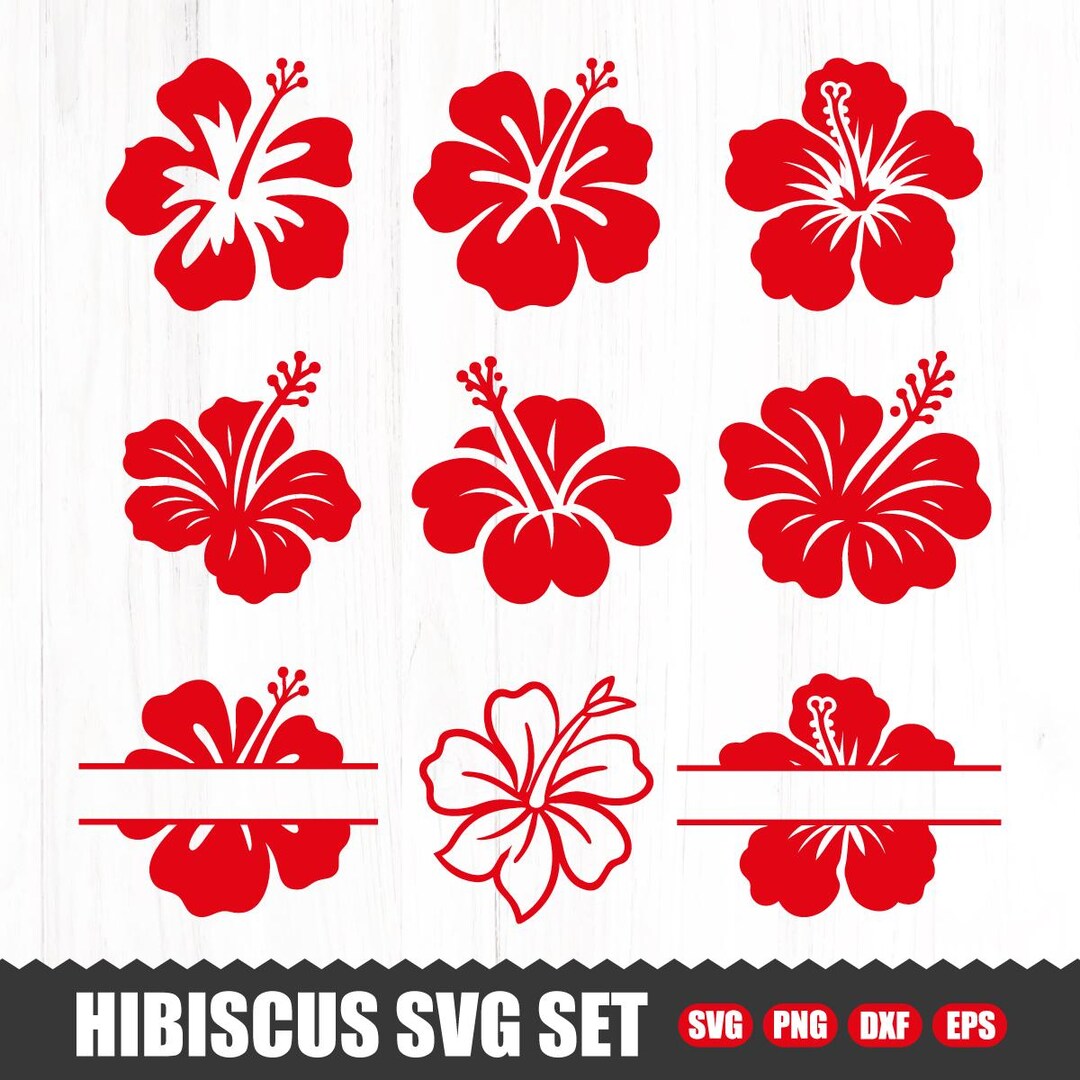 Hibiscus SVG, Hibiscus Flower SVG, Flower Svg Bundle, Hawaiian Svg, Hibiscus Clip Art, Hibiscus ...