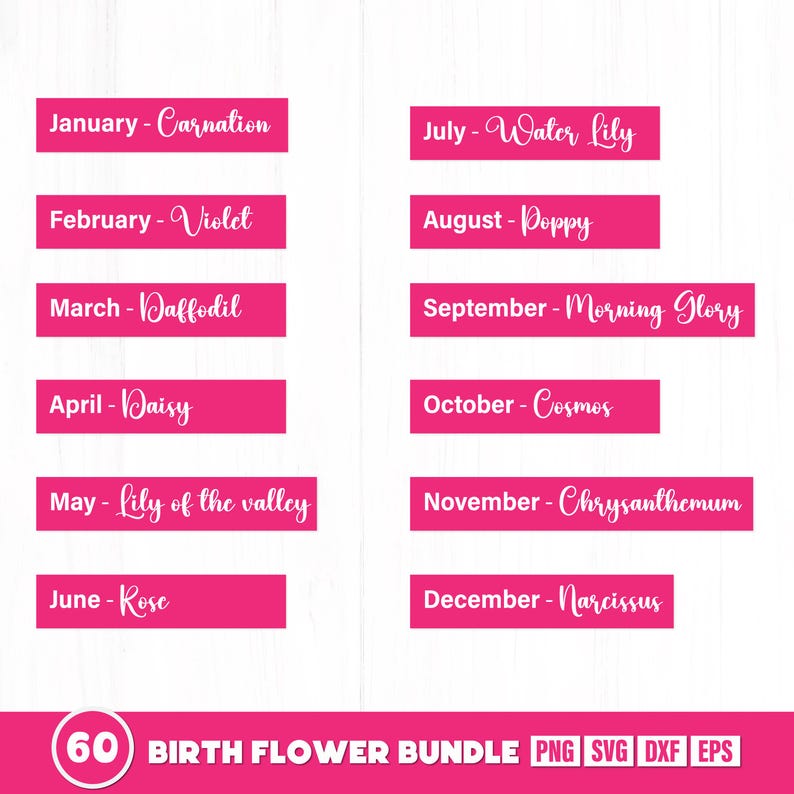 Birth Flowers Bundle, Birth Flower Svg, Birthmonth Svg, Birth Month Svg ...