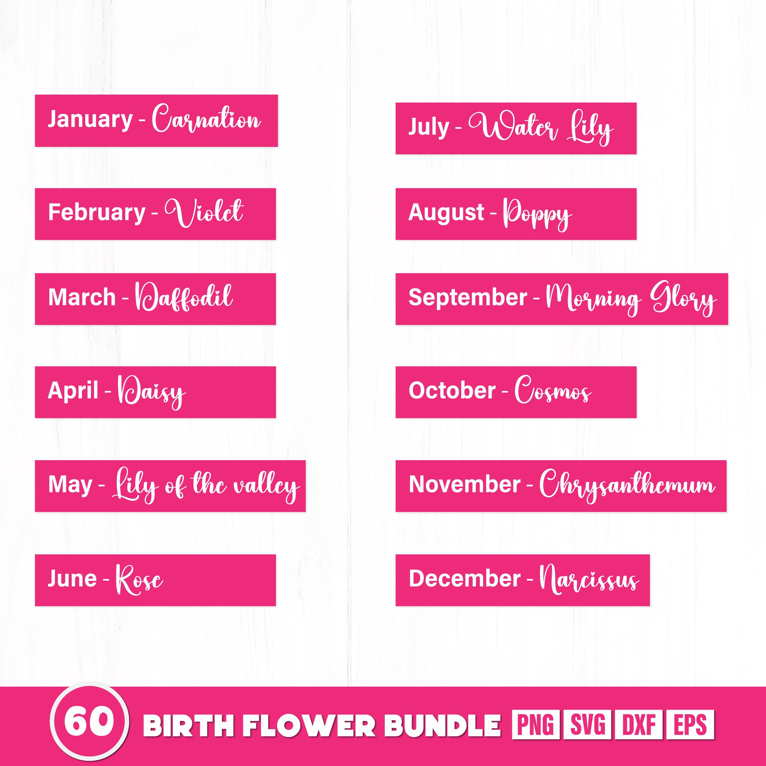 Birth Flowers Bundle, Birth Flower Svg, Birthmonth Svg, Birth Month Svg ...