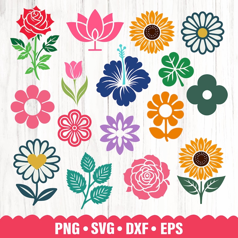 Flower Shapes Svg - Etsy