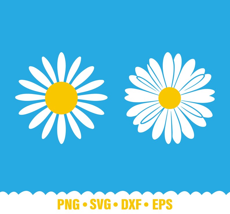 Daisy Svg Bundle, Daisy Flower Svg, Daisy Flower Png, Daisy Flower ...