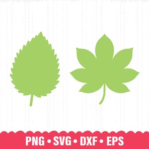 Leaf Svg Bundle, Leaves Svg, Leaves Cut Files, Branch Svg, Leaves ...